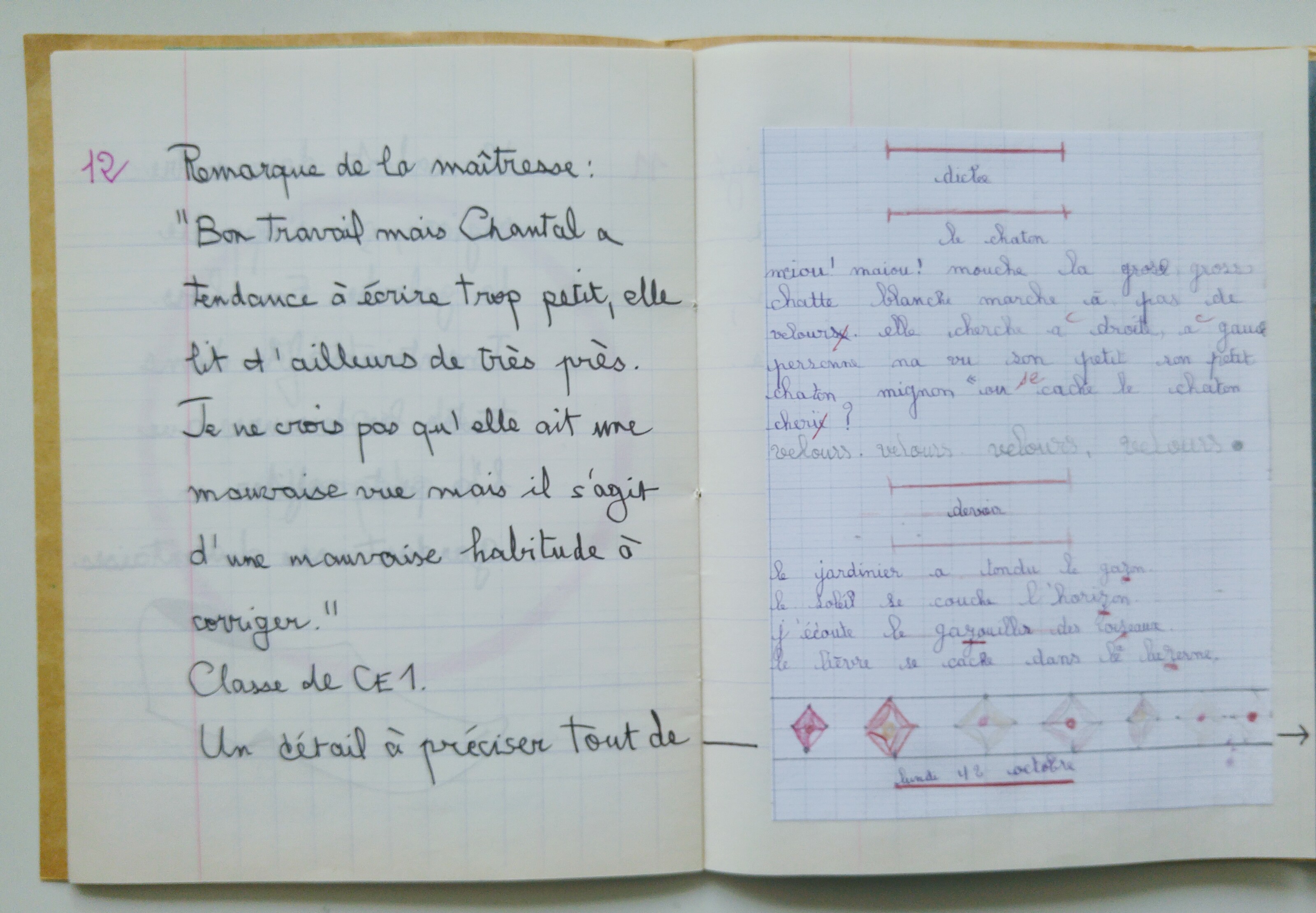 Chroniques de mes Souvenirs d'Enfance - Chantal Viaud